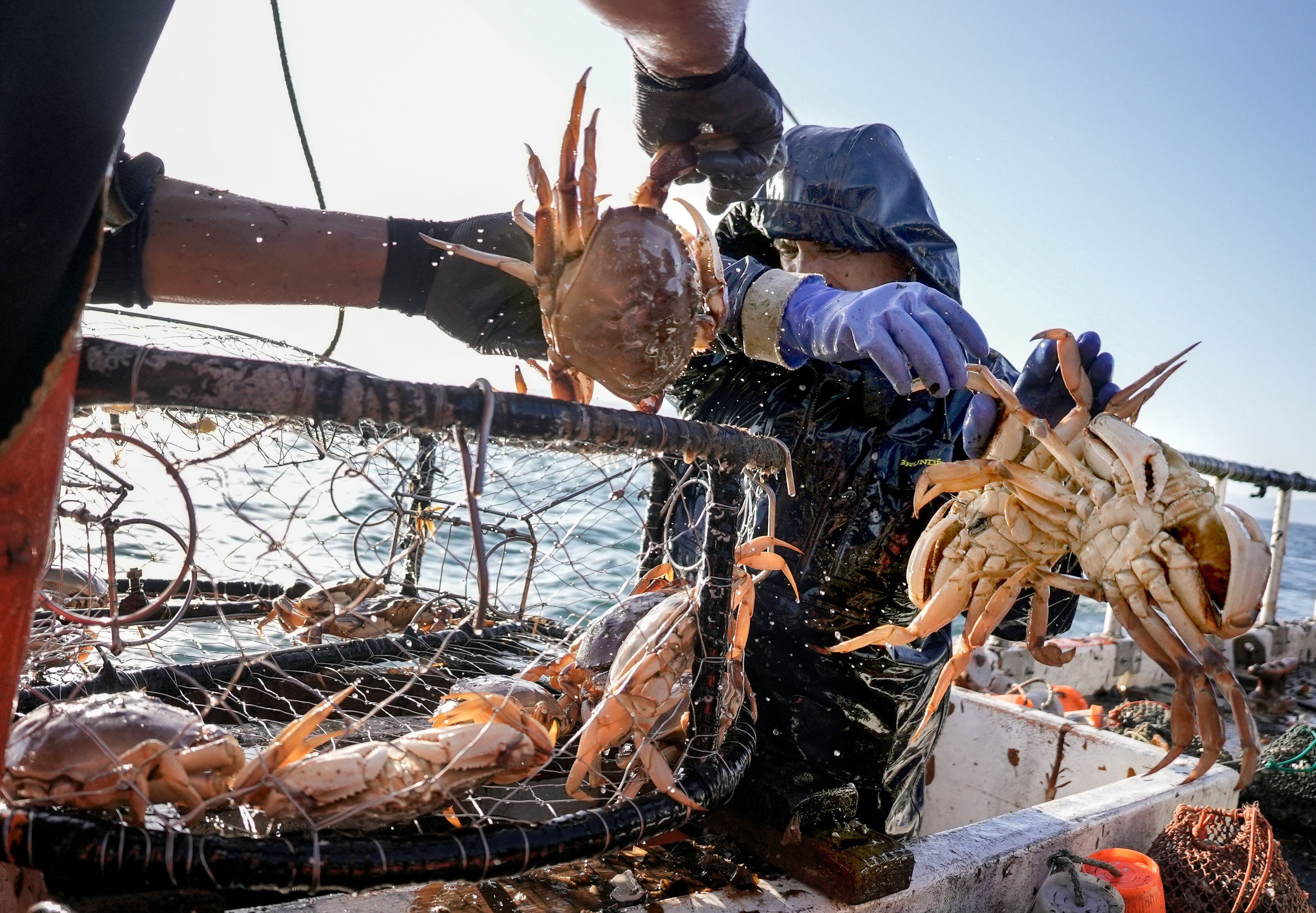 Crab Fishing